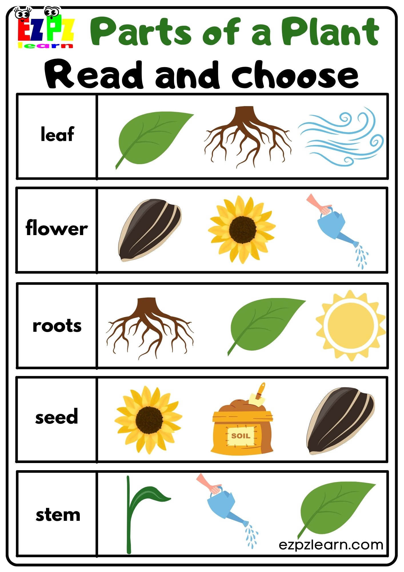 Parts of a Plant Read and Choose Worksheet for Kindergarten or ESL Students Free Printable PDF ...
